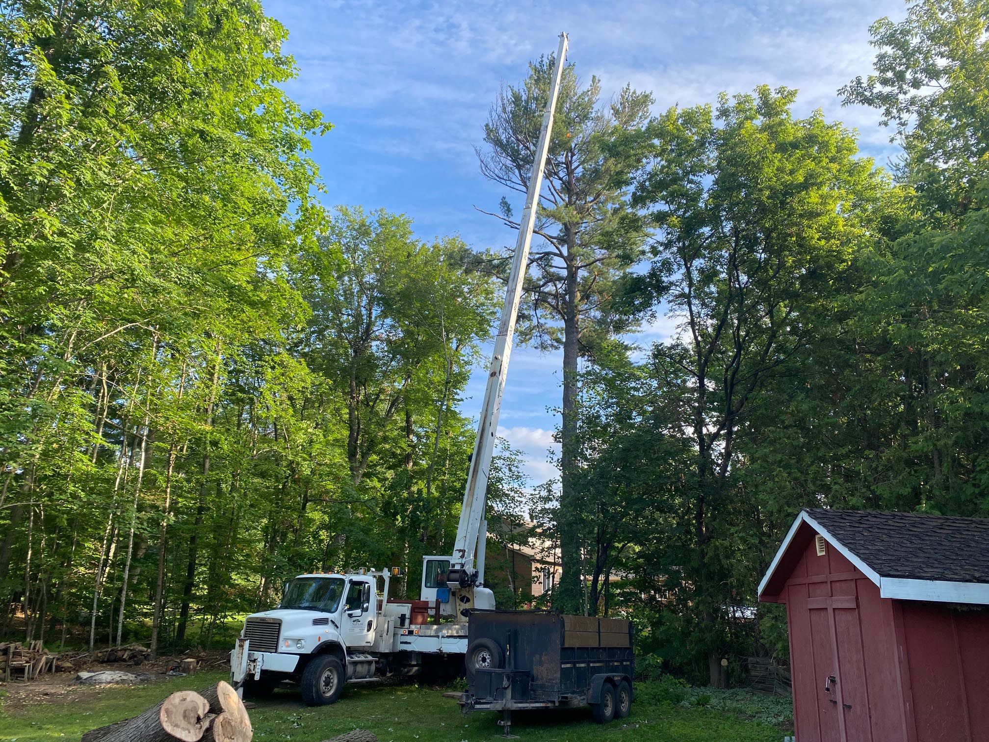 Tree Removal Services - Crane Rental - Next Level Tree Services