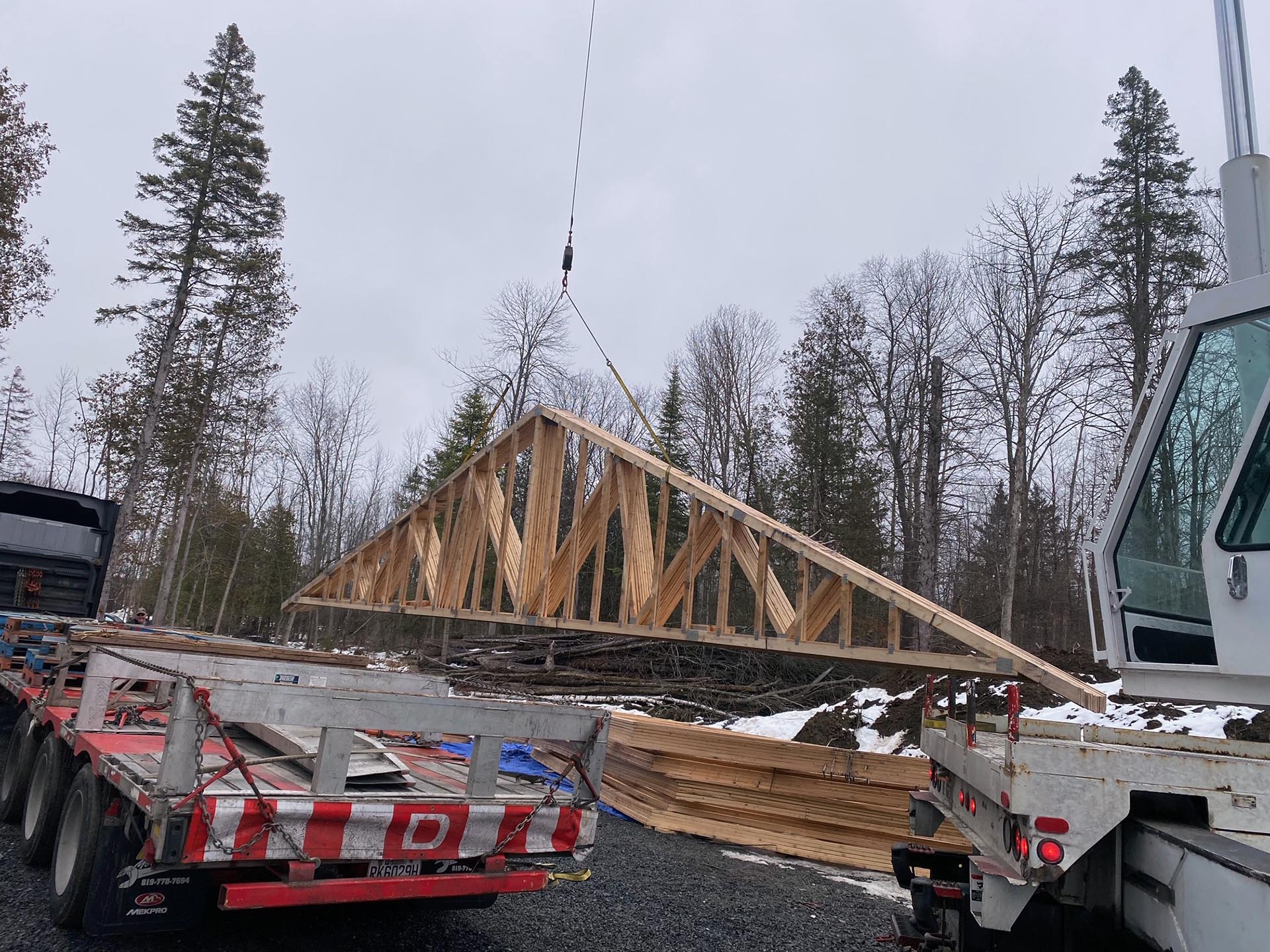 Tree Removal Services - Crane Rental - Next Level Tree Services